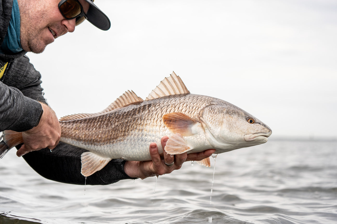 Redfish Are Chewing