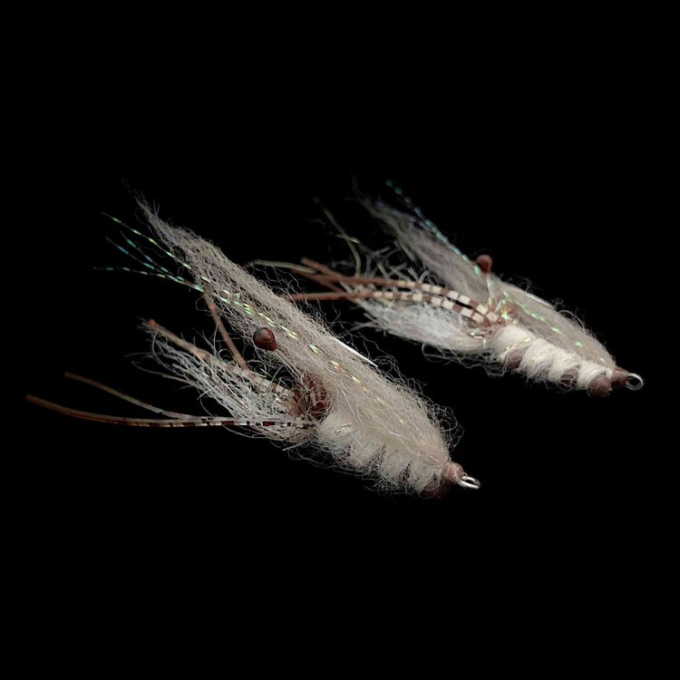 Sight Cast Bead-Back Shrimp – Tailwater Outfitters